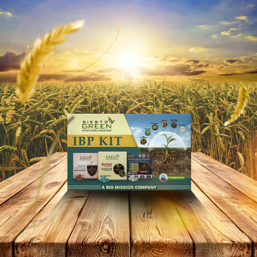 IBP Kit - Siestogreen