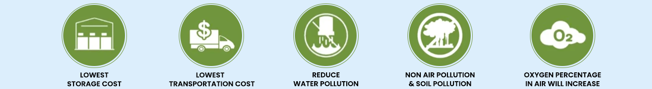 Best Organic Fertilizer for Eco-Friendly Growth