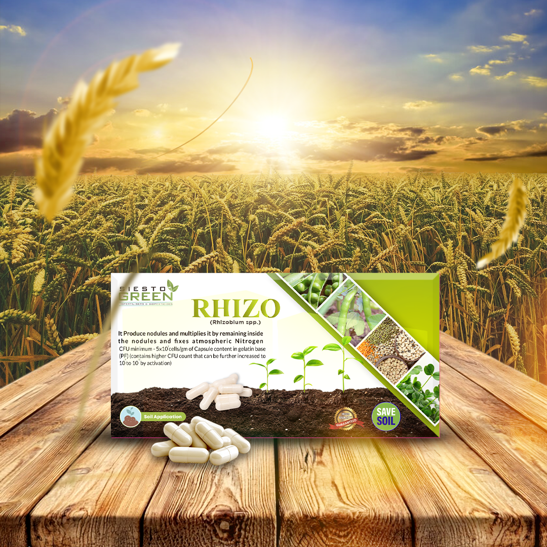 Rhizobium - Siestogreen